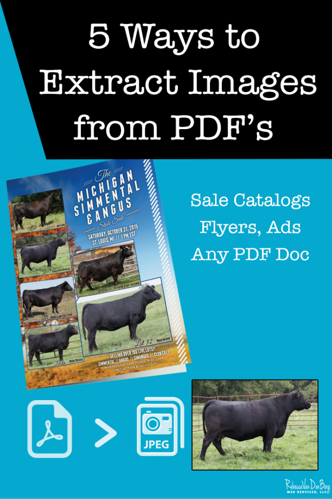 5 Ways To Extract Images From PDF s VanDenBerg Web Creative 5-ways-to-extract-images-from-pdf-s-vandenberg-web-creative